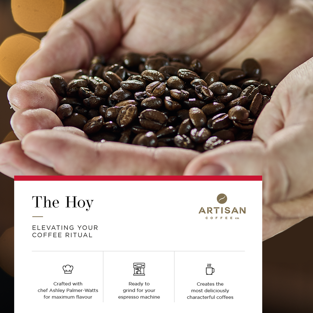 The Hoy Whole Bean Coffee – Artisan Coffee Co.